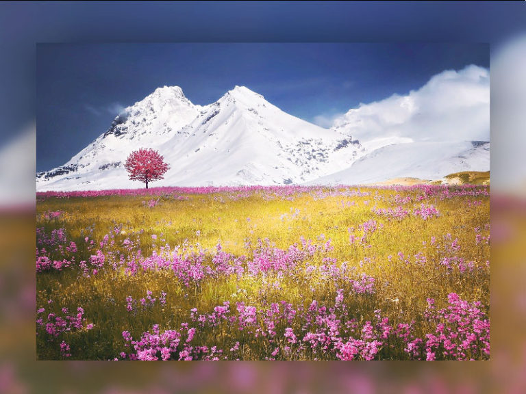 (FREE) Blur Photo Online - MockoFUN