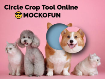 (FREE) Crop Picture Into Circle Online - MockoFUN