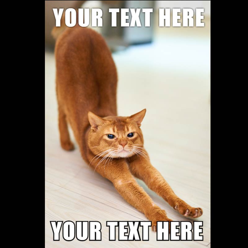  FREE Meme Font Text MockoFUN