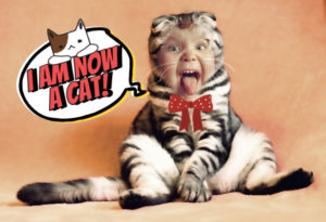 😎 [FREE] Online Photo Editor 👉 MockoFUN