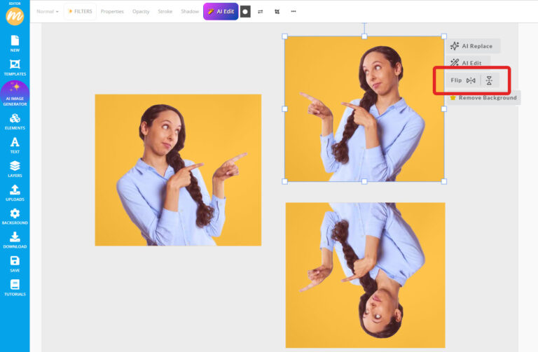 Image Flipper Online - MockoFUN