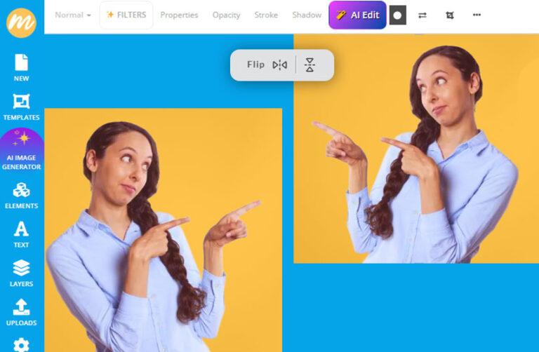 Image Flipper Online - MockoFUN